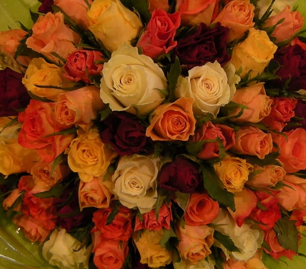 Livraison Bouquet de roses - Fleuriste Montpellier